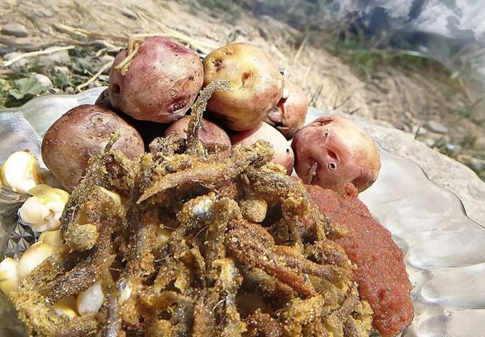 Receta de Plato Paceño de Bolivia ️